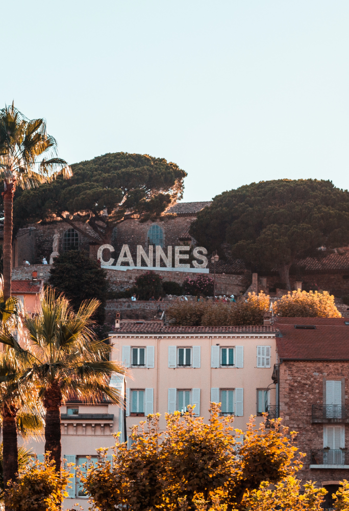Cannes Predictions: Unleashing the Power of Creativity and Networked ...